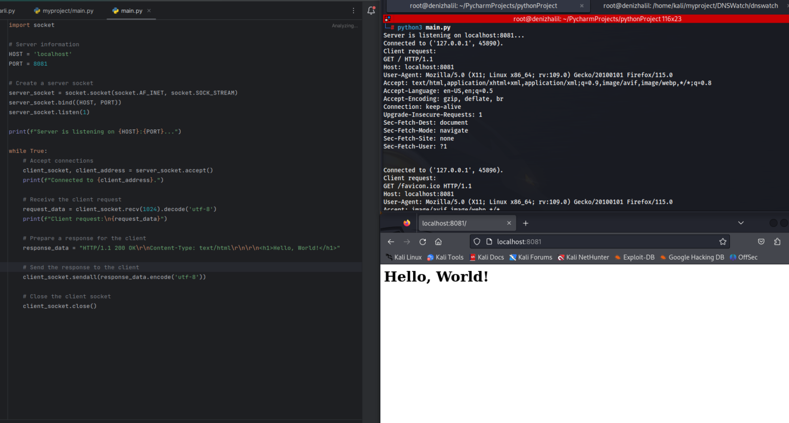 Denizhalil - cyber security and programmer learner