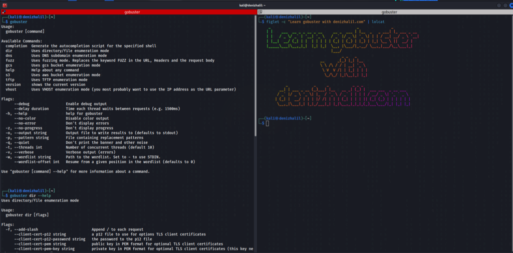 Web Directory and File Scanner by Gobuster - DenizHalil