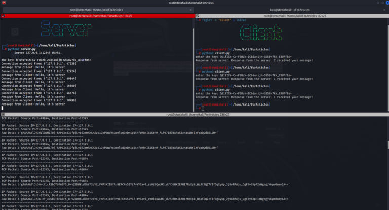 Python Socket Programming Guide - DenizHalil - Professional ...