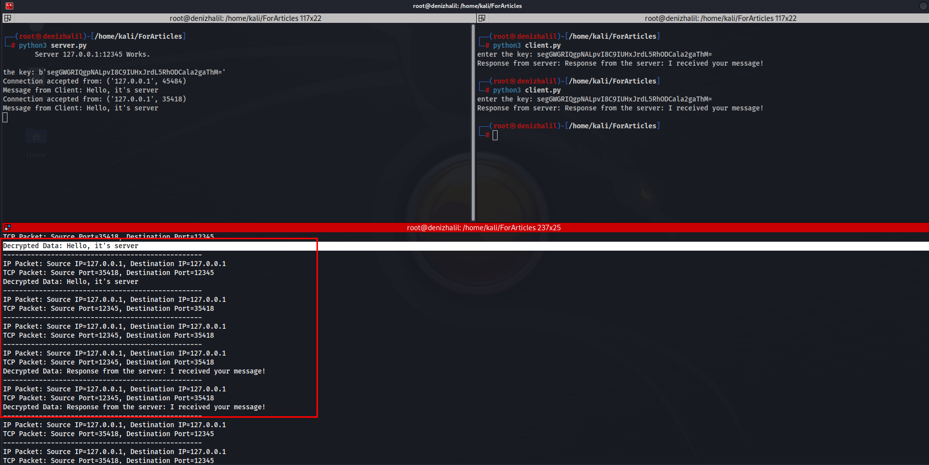 Network Security Decryption: Safeguarding Data in the Digital Age - DenizHalil - Professional ...