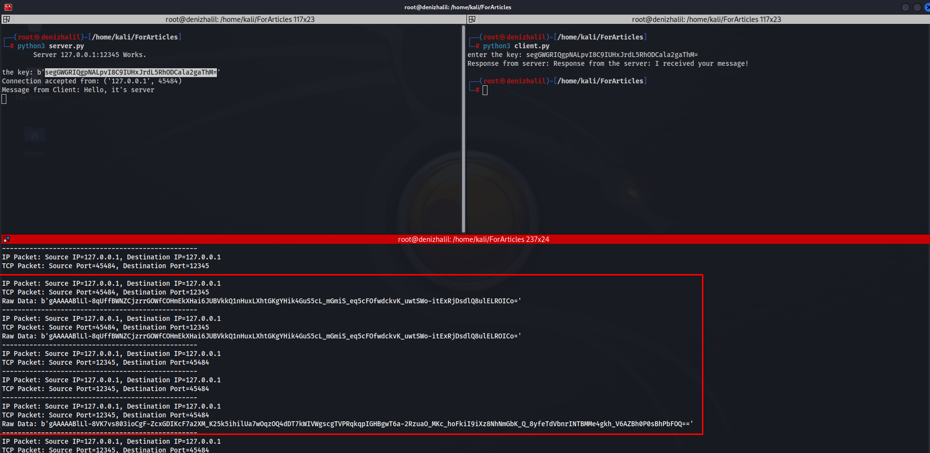 Network Security Decryption: Safeguarding Data in the Digital Age - DenizHalil - Professional ...