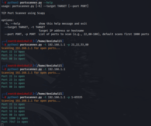 Port Scanning with Scapy: A Comprehensive Guide - DenizHalil ...