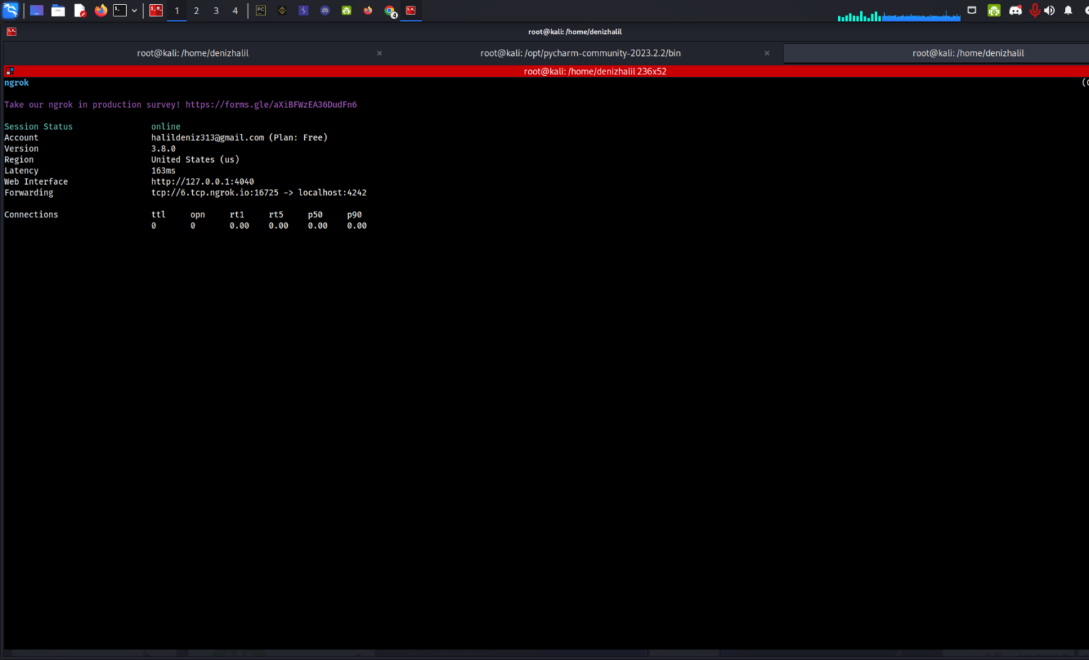 Ngrok Usage and Pyngrok Library: A Comprehensive Guide - DenizHalil ...