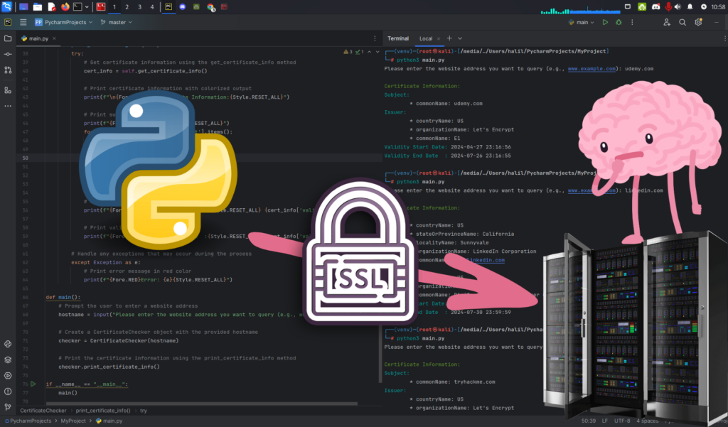 Denizhalil - cyber security and programmer learner