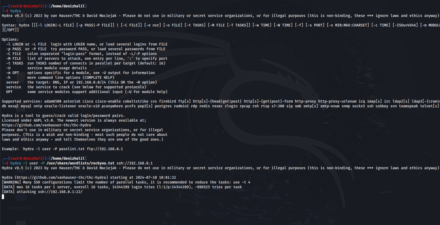 DenizHalil - cyber security and programmer