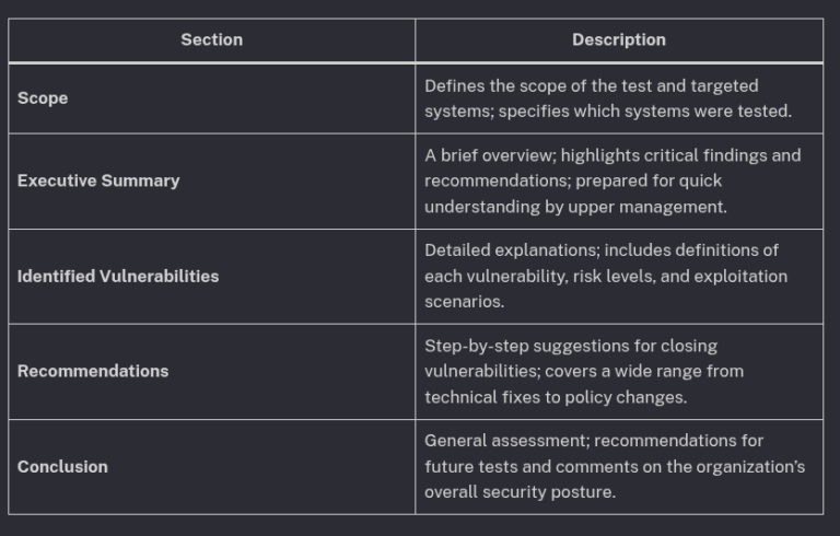 Penetration Testing Report: A Comprehensive Guide - DenizHalil ...