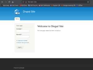 DC-1 Vulnhub Walkthrough: A Step-by-Step Guide - DenizHalil ...