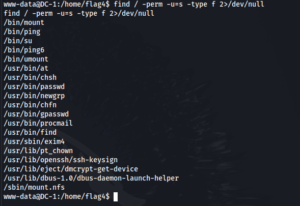 DC-1 Vulnhub Walkthrough: A Step-by-Step Guide - DenizHalil ...
