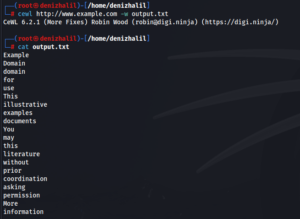 CeWL Cheat Sheet: Mastering the Custom Word List DenizHalil ...
