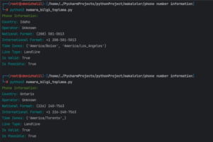Phone Number Information with OSINT: A Practical Guide Python
