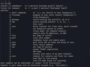 Netcat Usage: Essential Examples for Managing Network